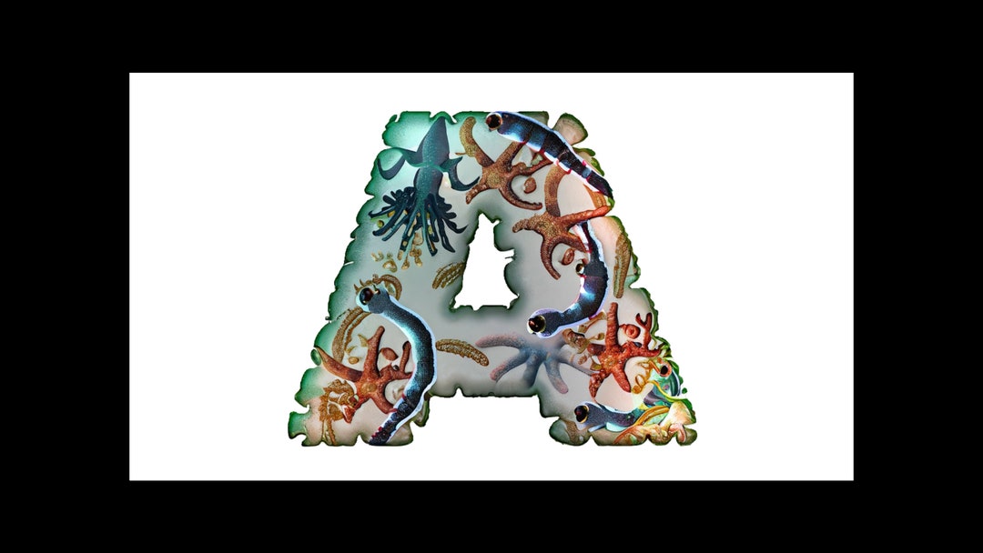 Coral Shape Lettersclipart Alphabet Letters, Commercial License PNG for ...