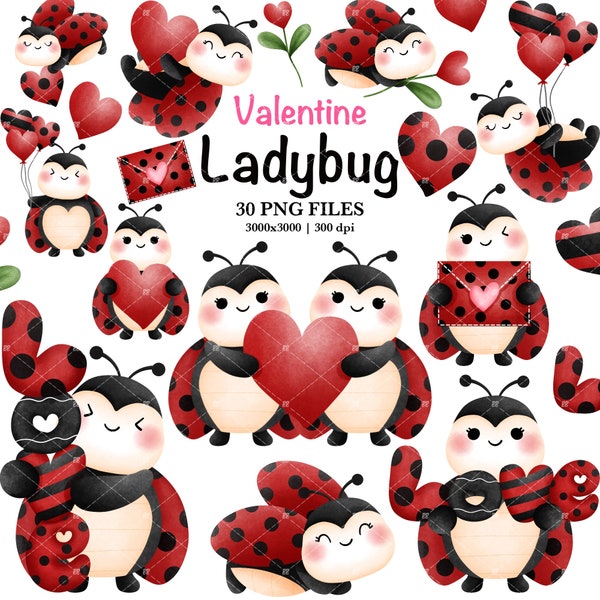 Valentine Ladybug Clipart - Etsy