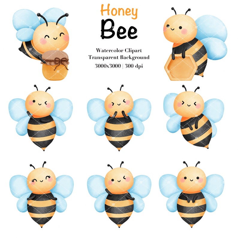Watercolor Honey Bee Clipart Bundle, Spring Garden Bee Clipart, Honey Drips Illustrations, Daisy ...