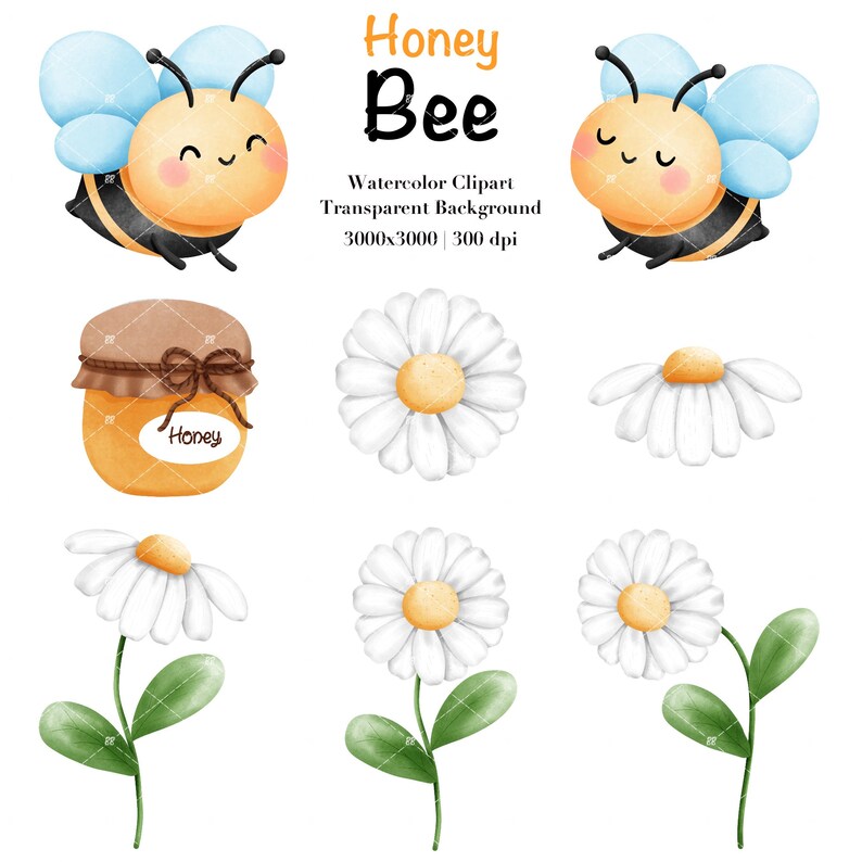 Watercolor Honey Bee Clipart Bundle, Spring Garden Bee Clipart, Honey Drips Illustrations, Daisy ...