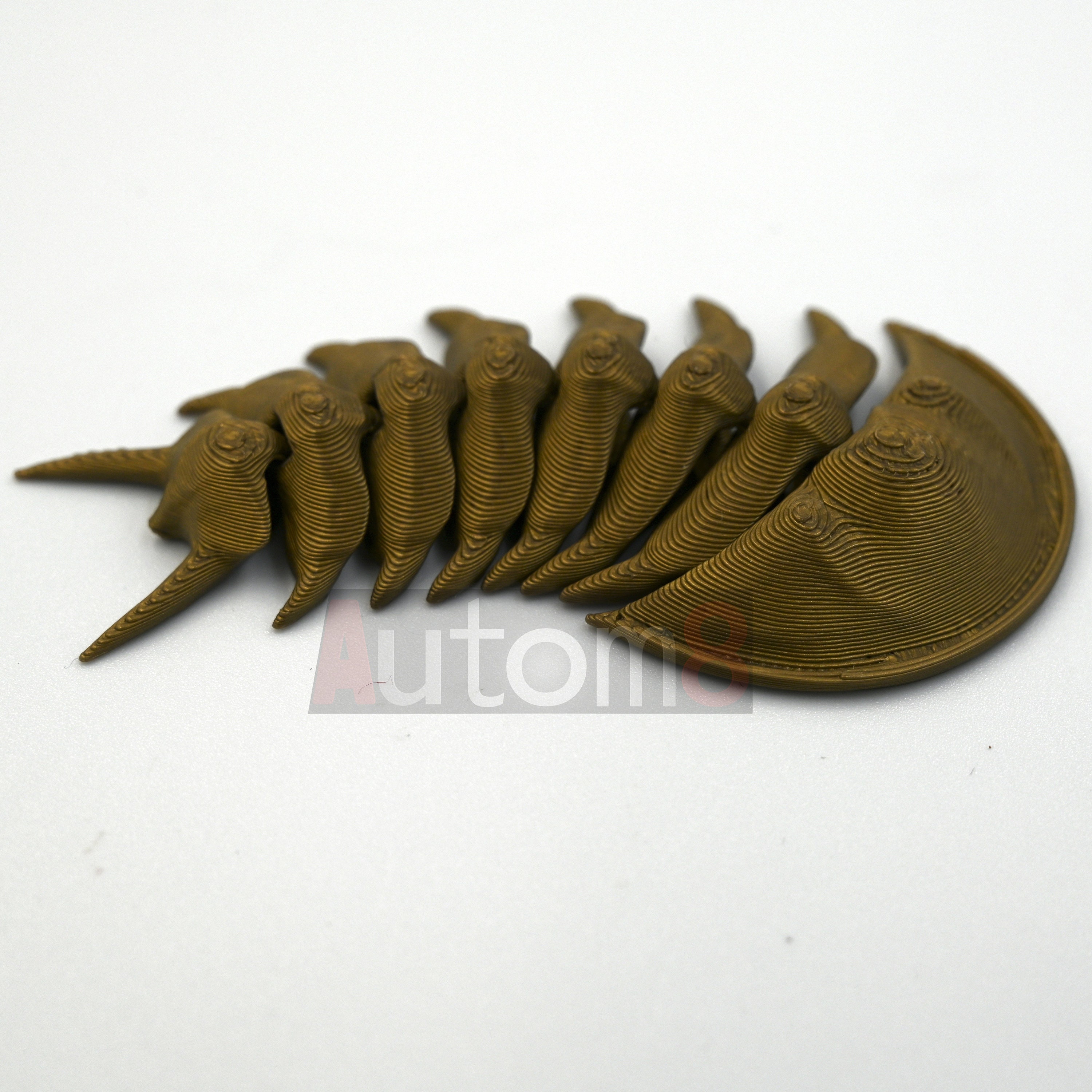 Trilobite Flexible 3D Printed Animal Articulated Dinosaur Flexi Fidget ...