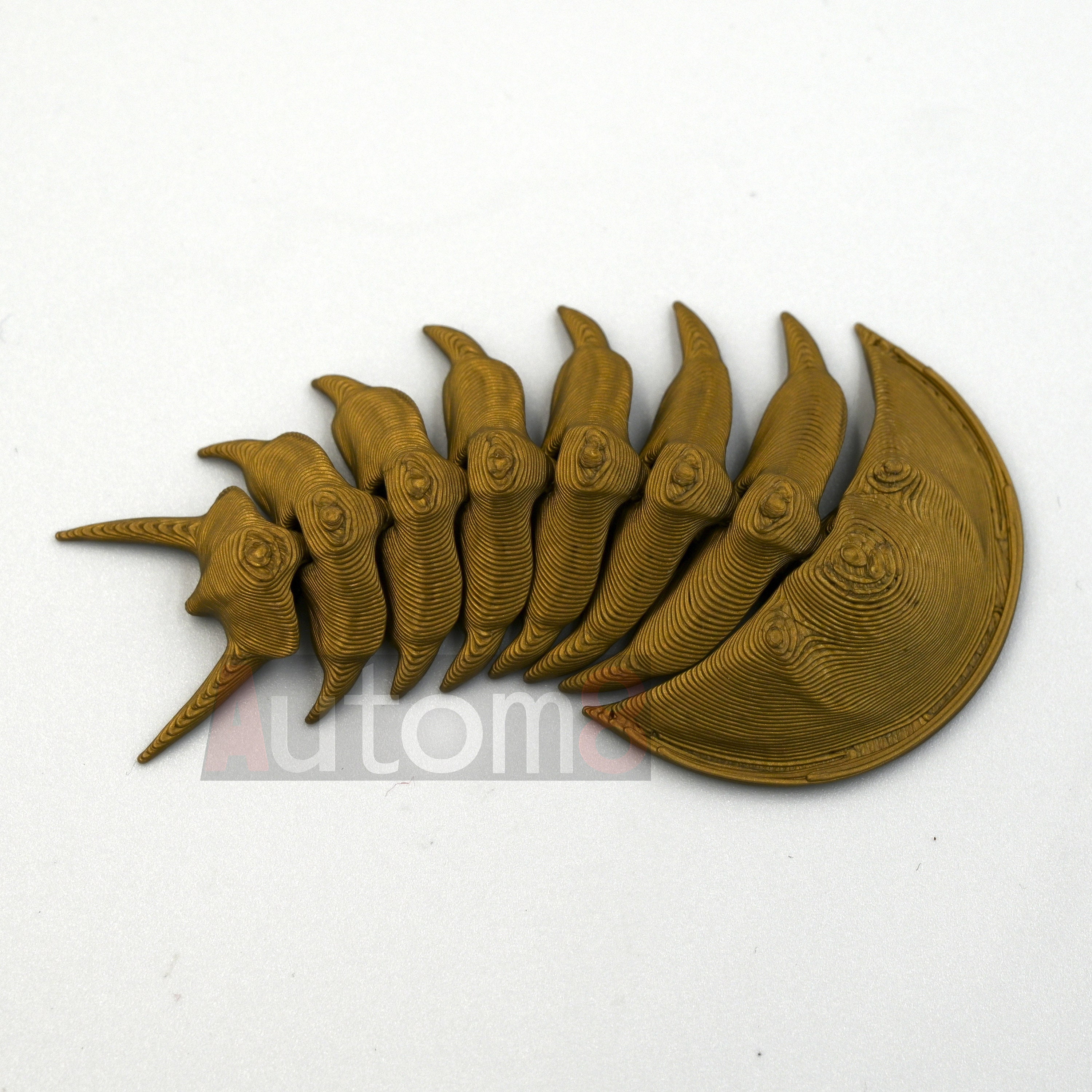 Trilobite Flexible 3D Printed Animal Articulated Dinosaur Flexi Fidget ...