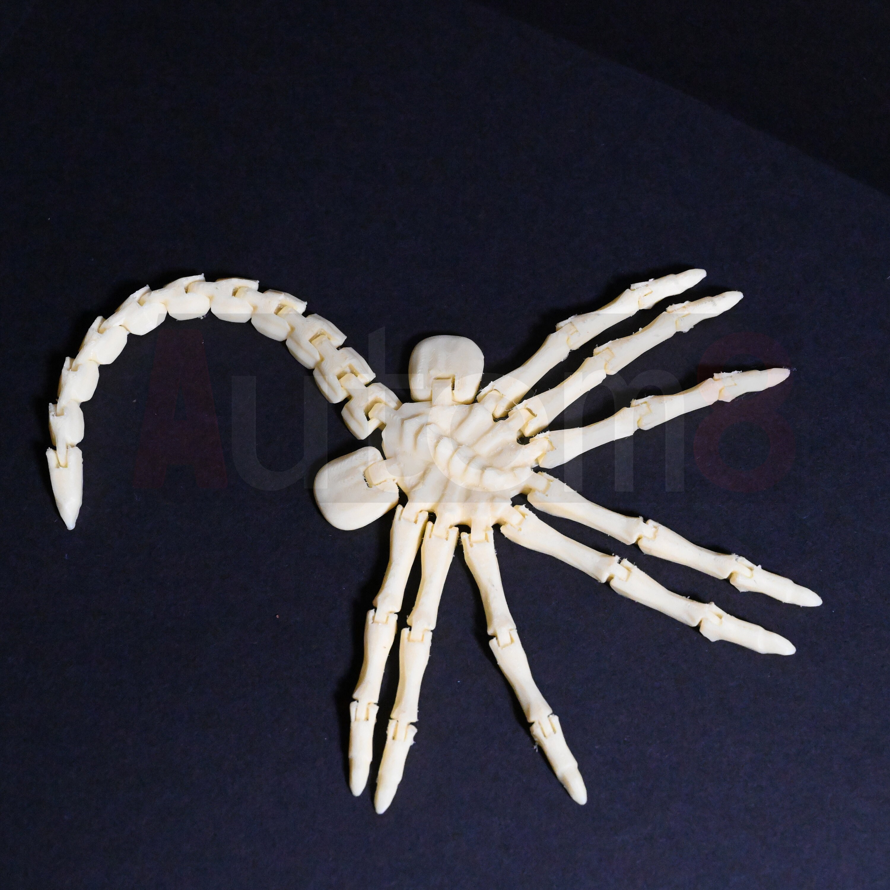 Alien Face-hugger Flexible 3D Printed Animal Articulated - Etsy