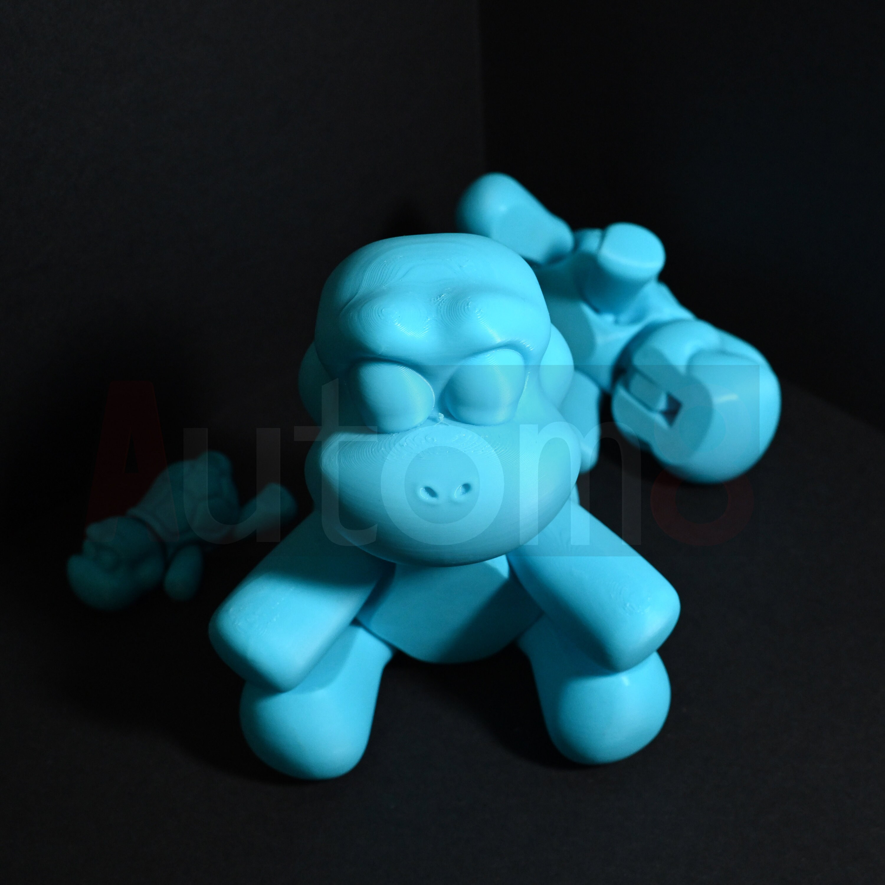 Turtle Flexible 3D Printed Character Articulated Flexi - Etsy