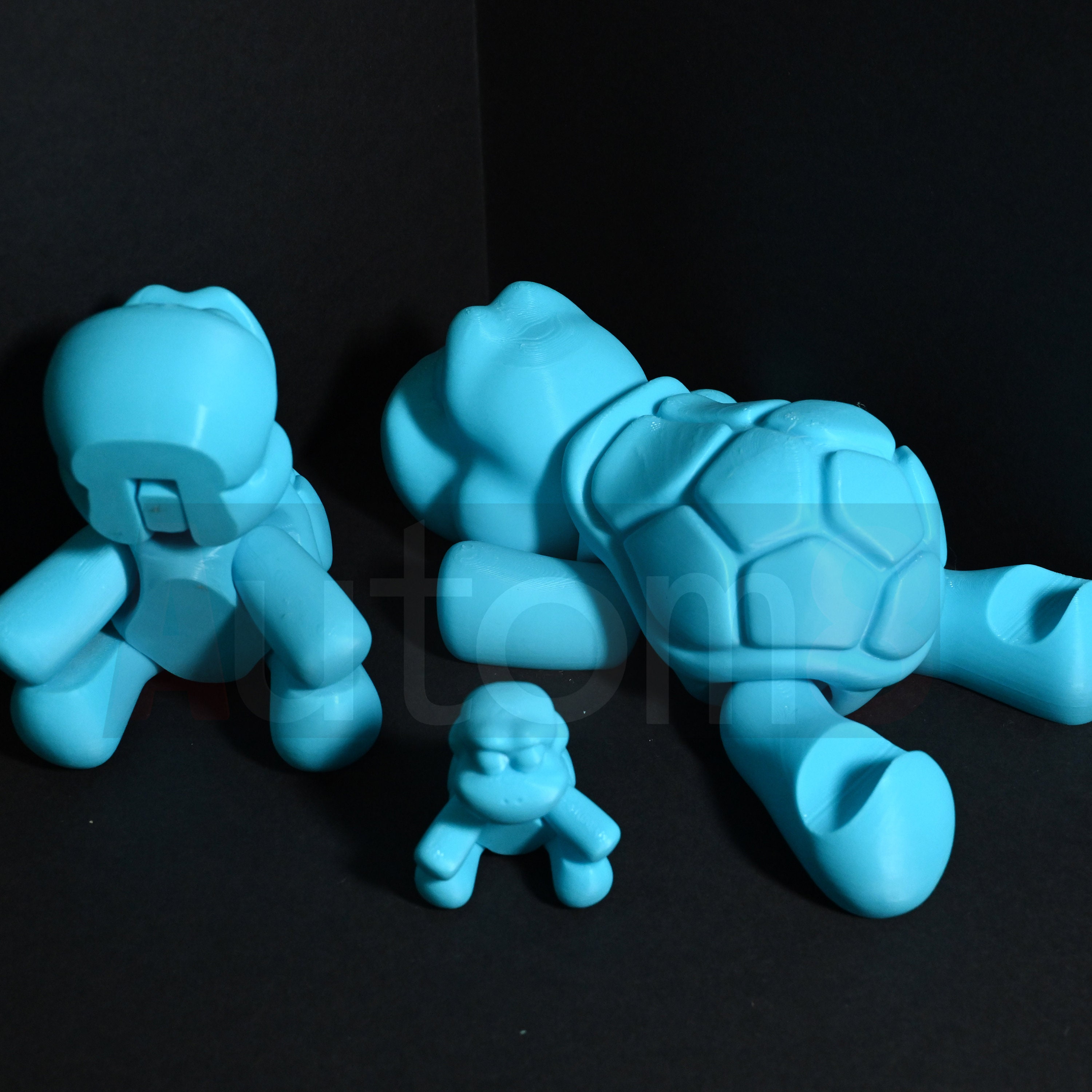 Turtle Flexible 3D Printed Character Articulated Flexi - Etsy