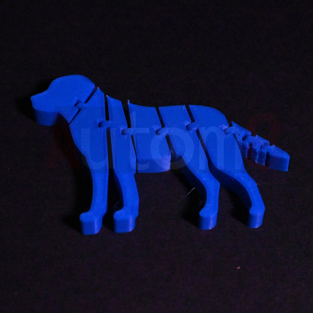 Labrador Dog Flexible 3D Printed Animal Articulated Flexi - Etsy