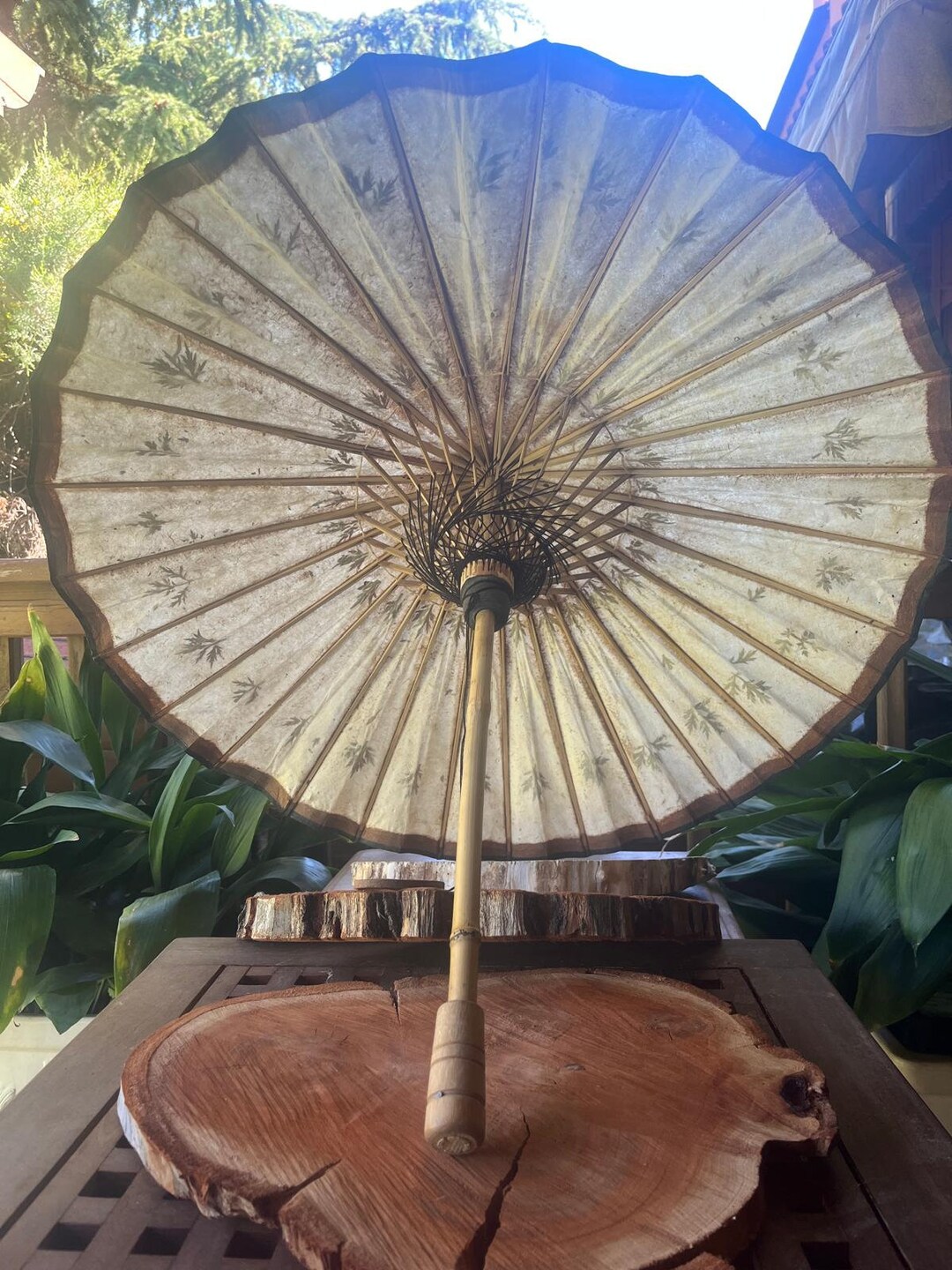 Handmade Asian Parasol From Rice Paper and Bamboo Backlit Leaf Details ...