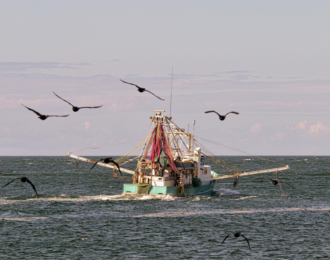 Nautical Fishing Boat Poster - Perfect Ocean Decor for Your Space ...