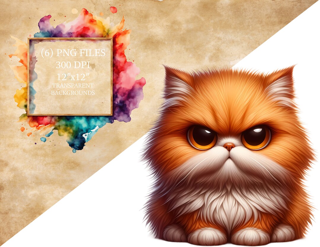 Grumpy Cat Clipart, Cute Cat PNG, Digital Download, Transparent ...
