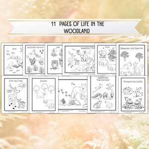 44 Coloring Pages of Animals - Sea Animals, Jungle Animals, Woodland ...