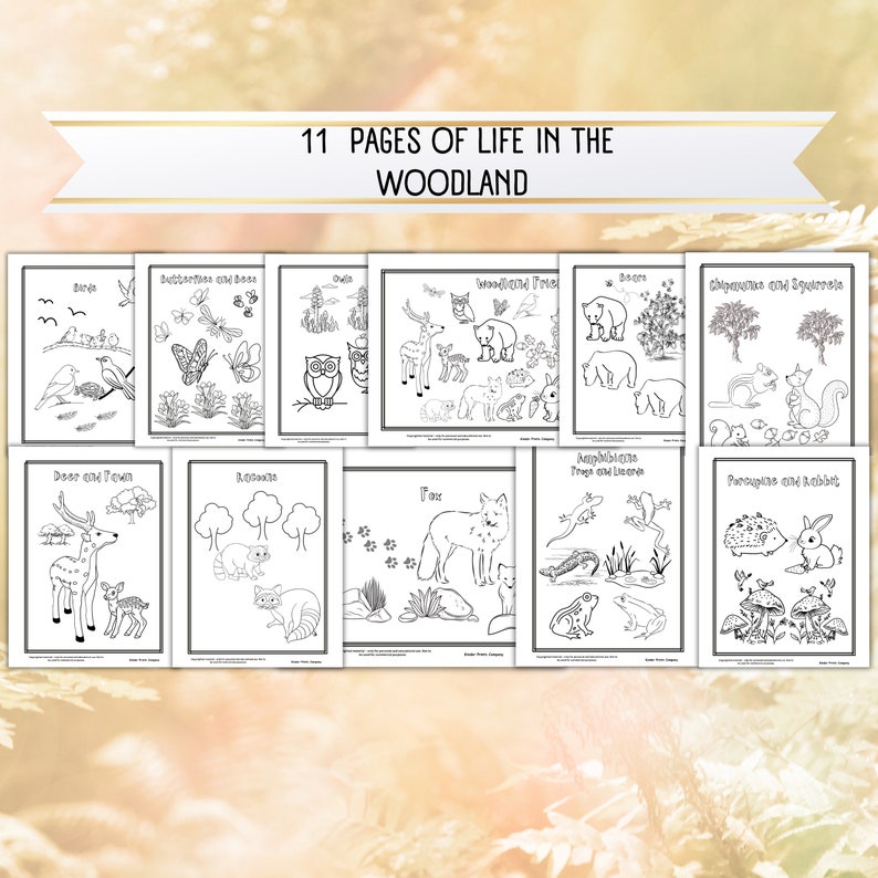 44 Coloring Pages of Animals Sea Animals, Jungle Animals, Woodland ...