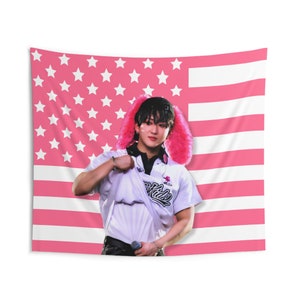 Skz Changbin Bunny Pink America Flag, Stray Kids 2024 Tour Kpop Flag ...