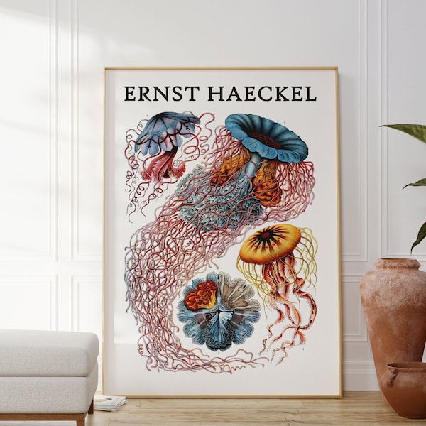 Haeckel Print - Etsy
