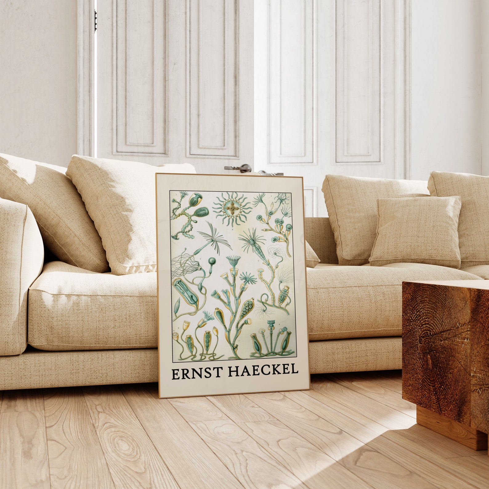 Haeckel Poster - Fascinating Sea Life Poster as Haeckel Wall Art - Sea ...