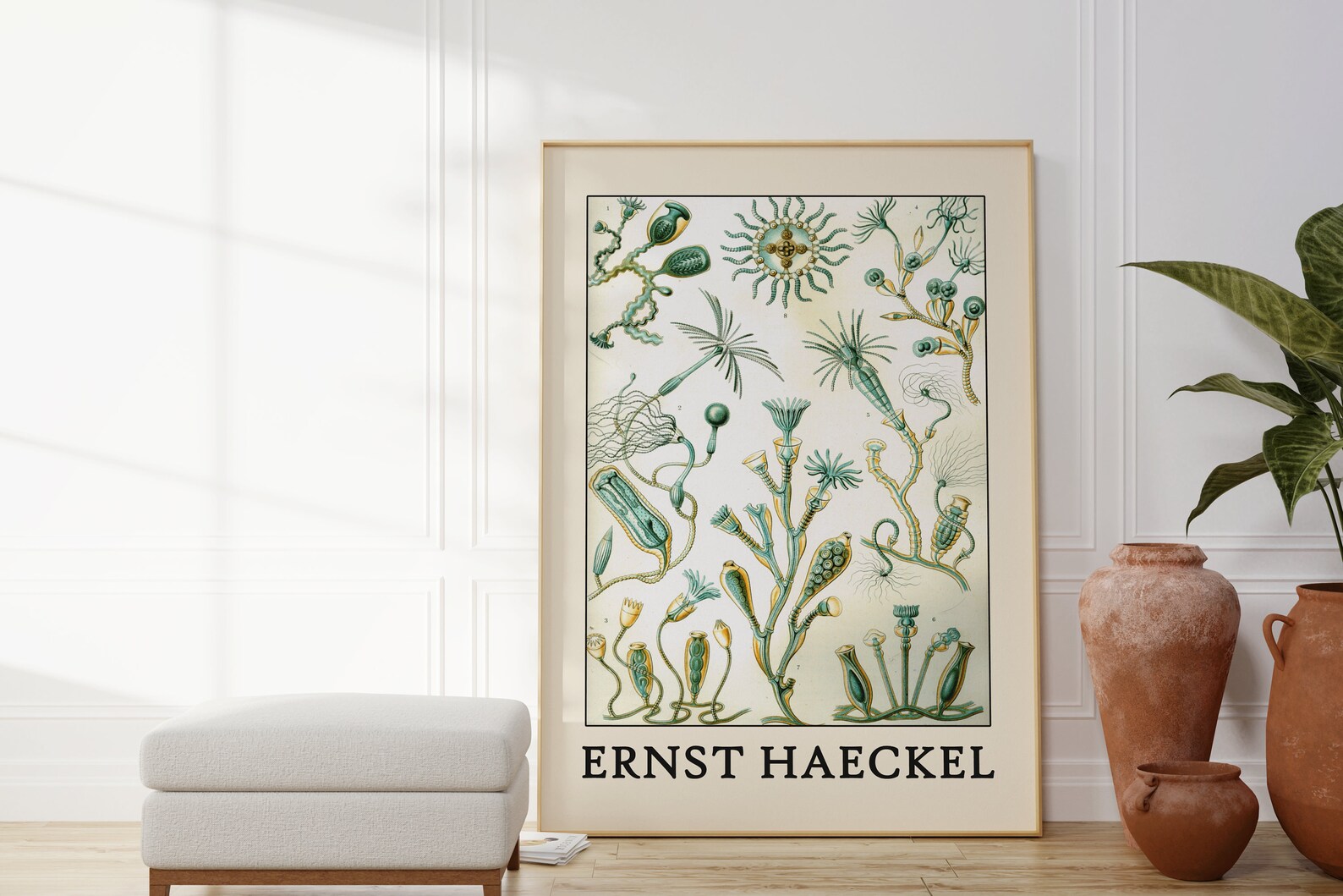Haeckel Poster - Fascinating Sea Life Poster as Haeckel Wall Art - Sea ...