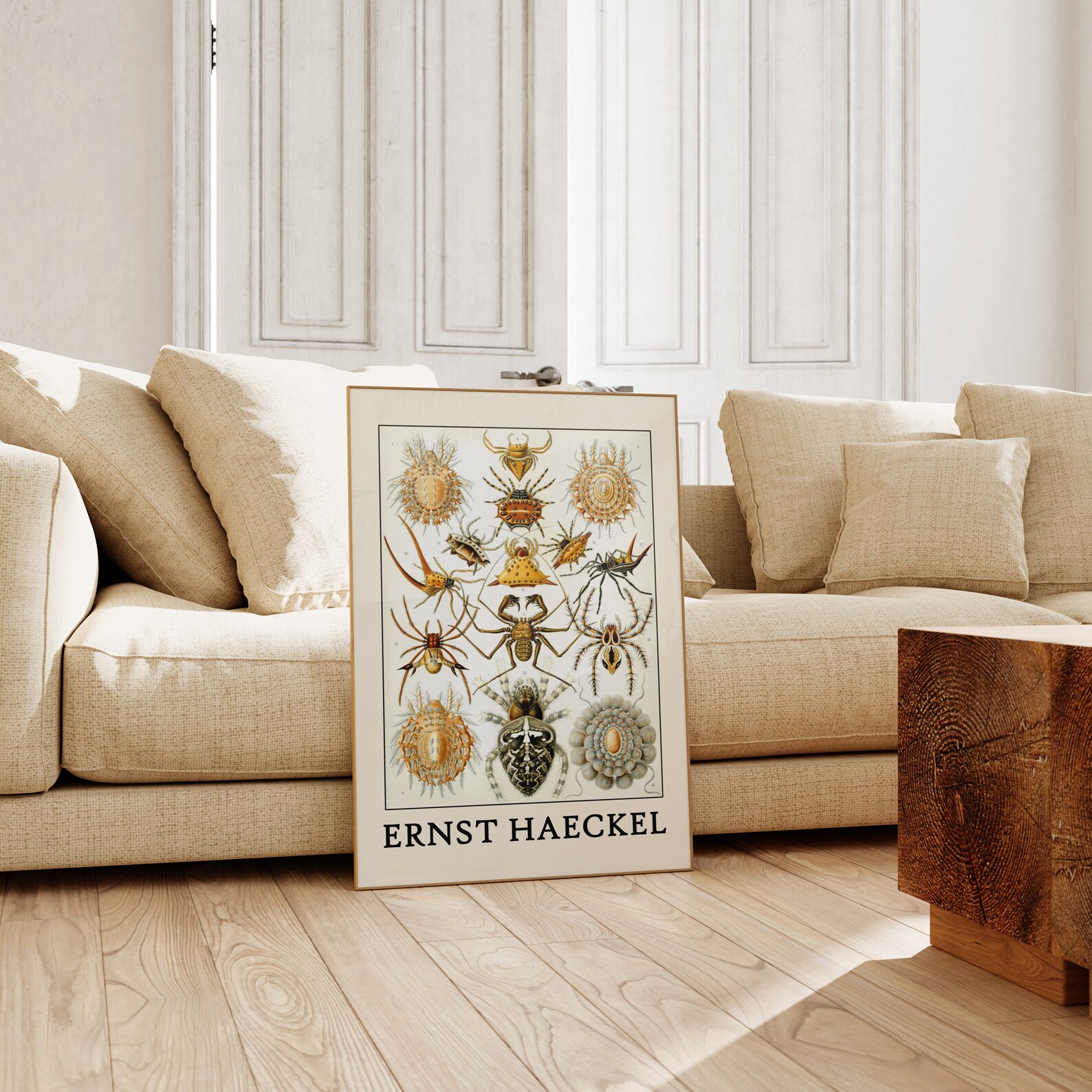 Haeckel Poster - Fascinating Sea Life Poster as Haeckel Wall Art - Sea ...