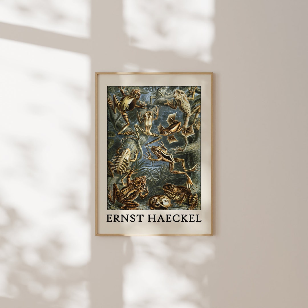 Haeckel Poster Fascinating Sea Life Poster as Haeckel Wall Art Sea ...