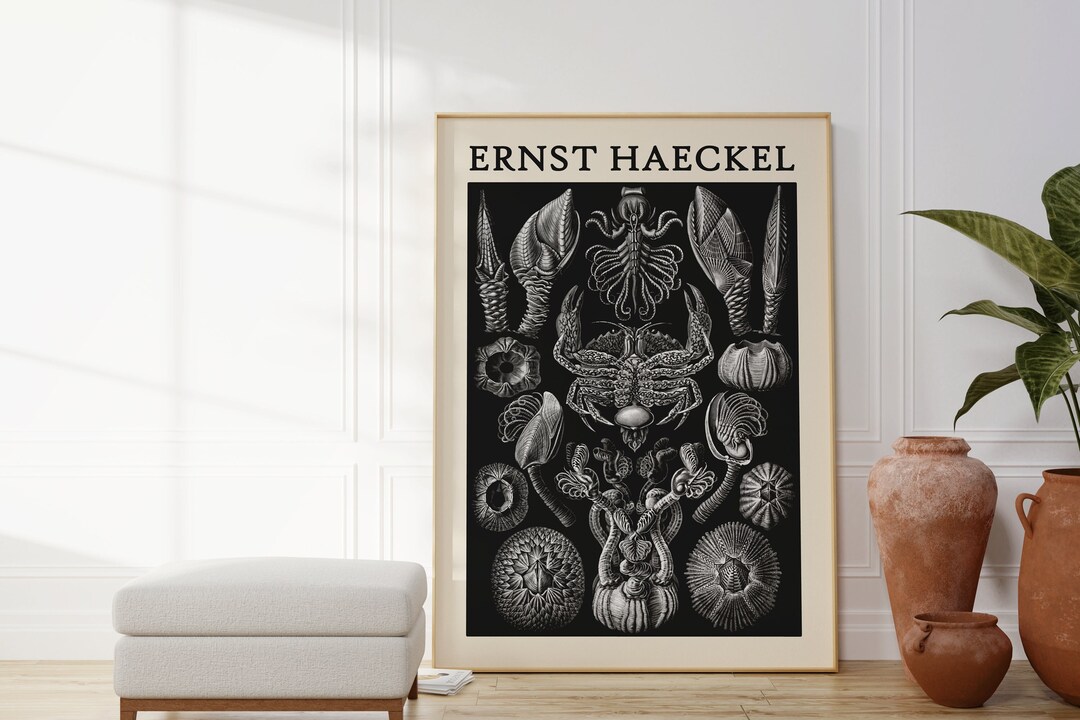 Ernst Haeckel Poster - Scientific Poster as Ernst Haeckel Print ...