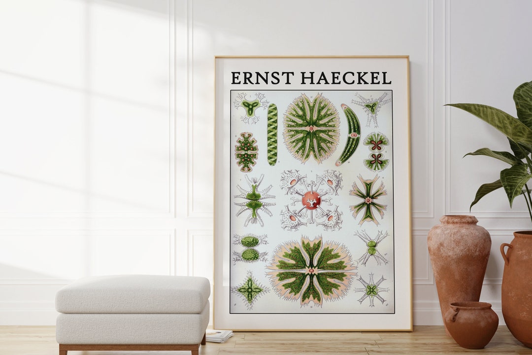 Ernst Haeckel Poster - Scientific Poster as Ernst Haeckel Print ...