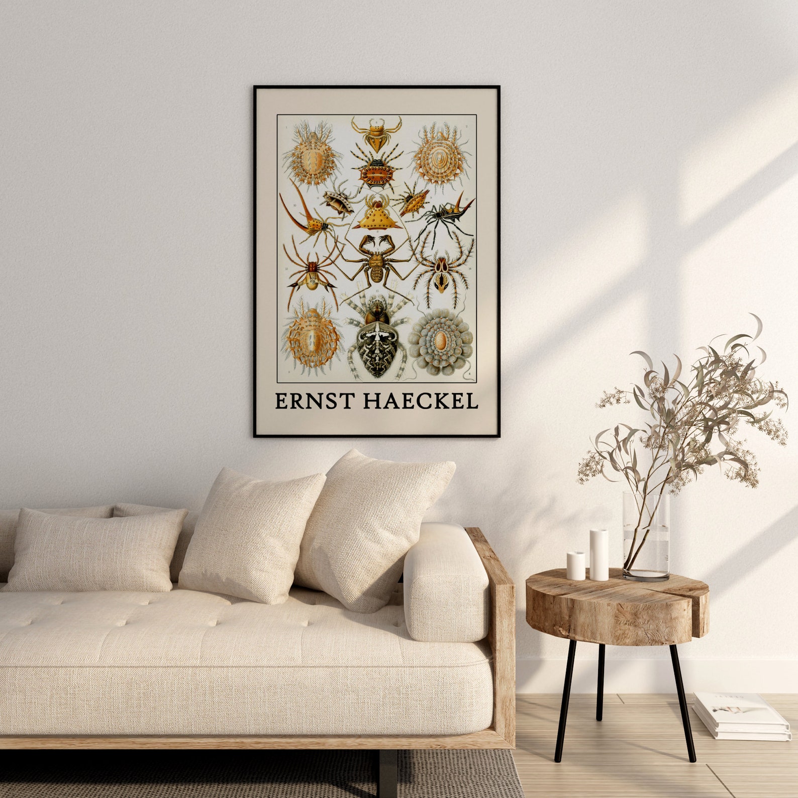 Haeckel Poster - Fascinating Sea Life Poster as Haeckel Wall Art - Sea ...