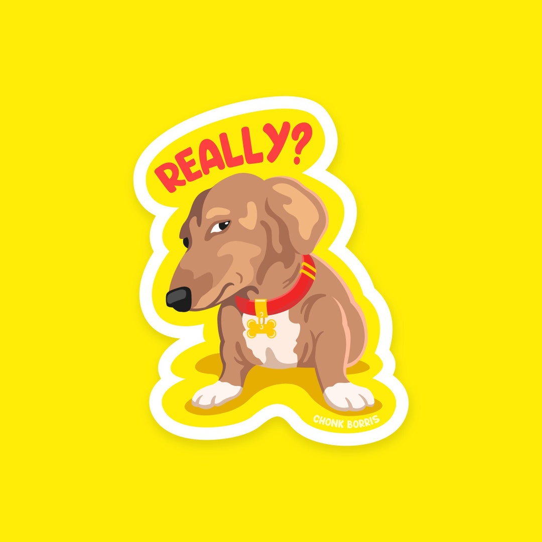 Really? Side Eye Dog Meme Sticker | Suspicious Dog Meme, Daschund Dog ...