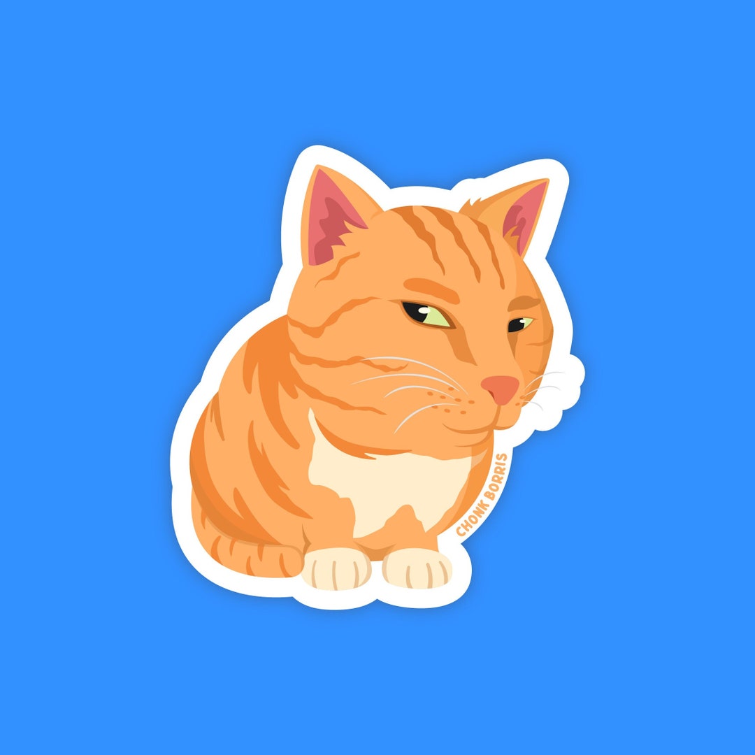 Side Eye Cat Meme Sticker | Mr. Fresh Cat, Judging Cat Meme, Bombastic ...