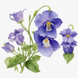 Bell Flower Digital Clipart - 5 High Quality Jpgs - Digital Planner ...