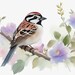 Instant Downloadable 5 Beautiful Sparrow Art for Decoration- Wallpaper ...
