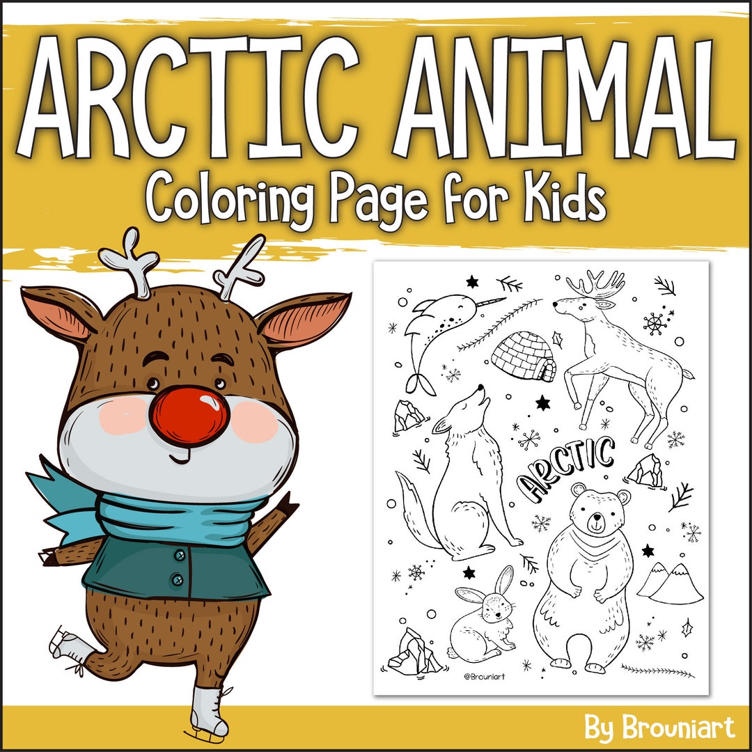 Arctic Animal Coloring Page - Etsy