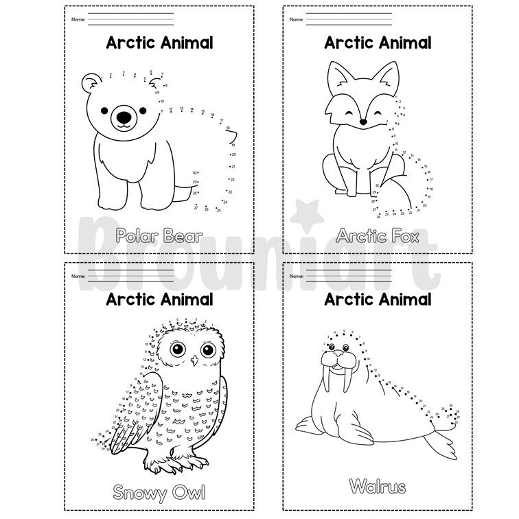 Arctic Animal Dot to Dot 1-30 Worksheets Coloring Pages Digital ...