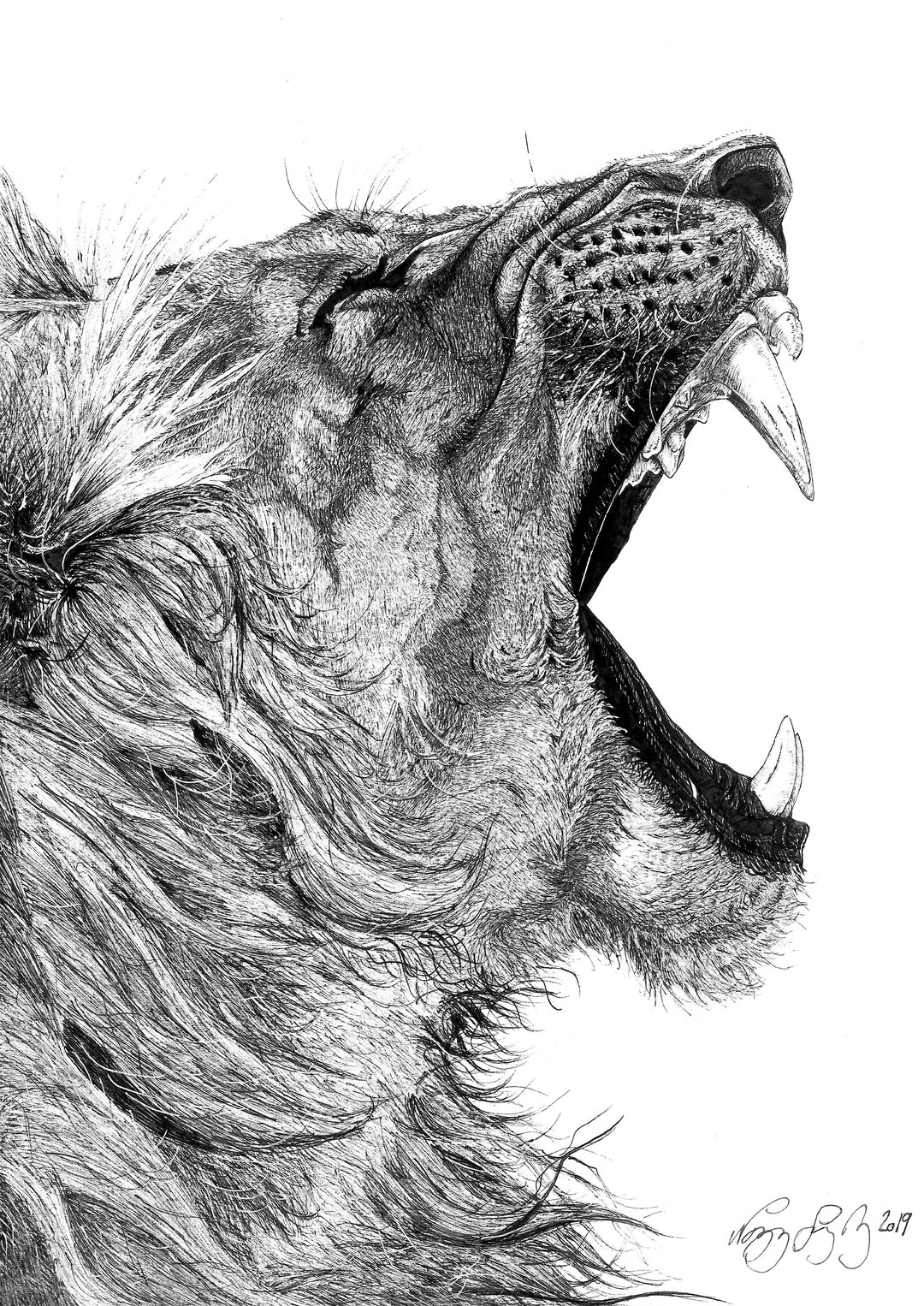 Ink Art Ink Drawing Lion Drawing Animal Drawing Realistic Drawing Pen ...