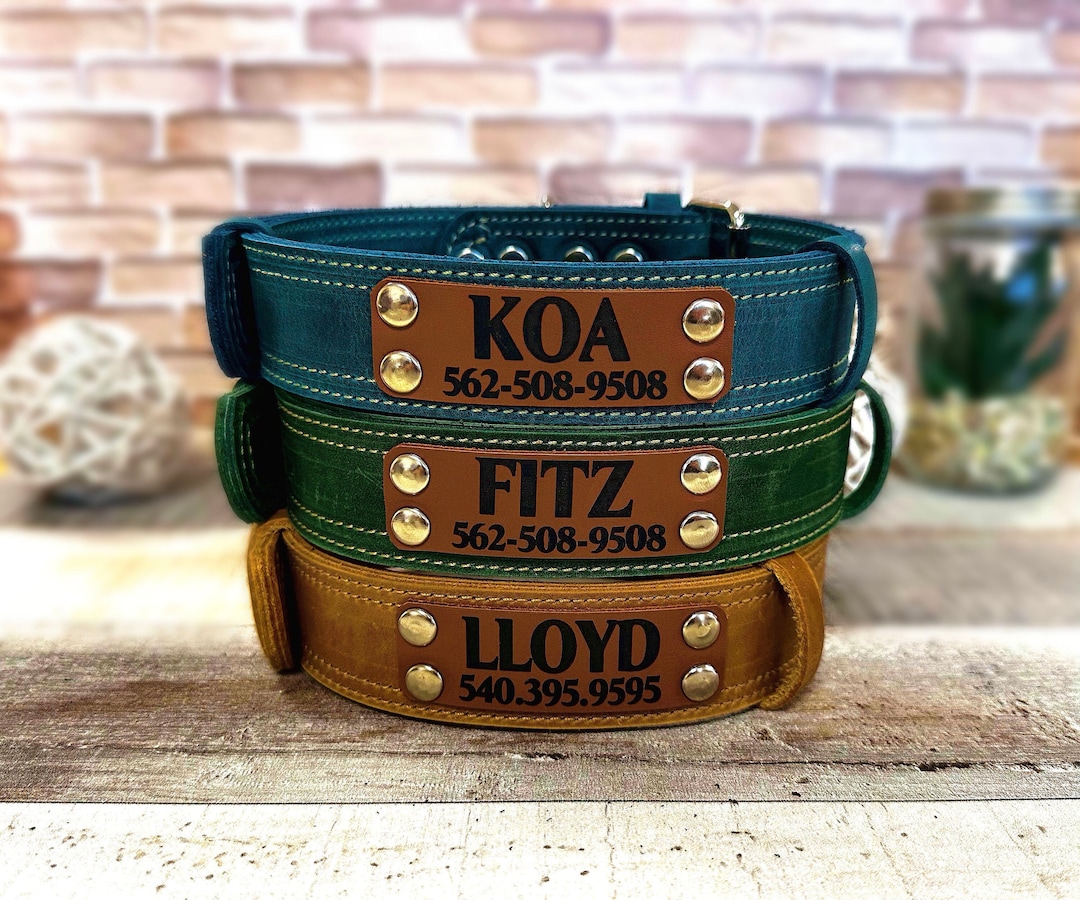 Personalized Leather Dog Collar With Name Plate: Engraved Custom Collar ...