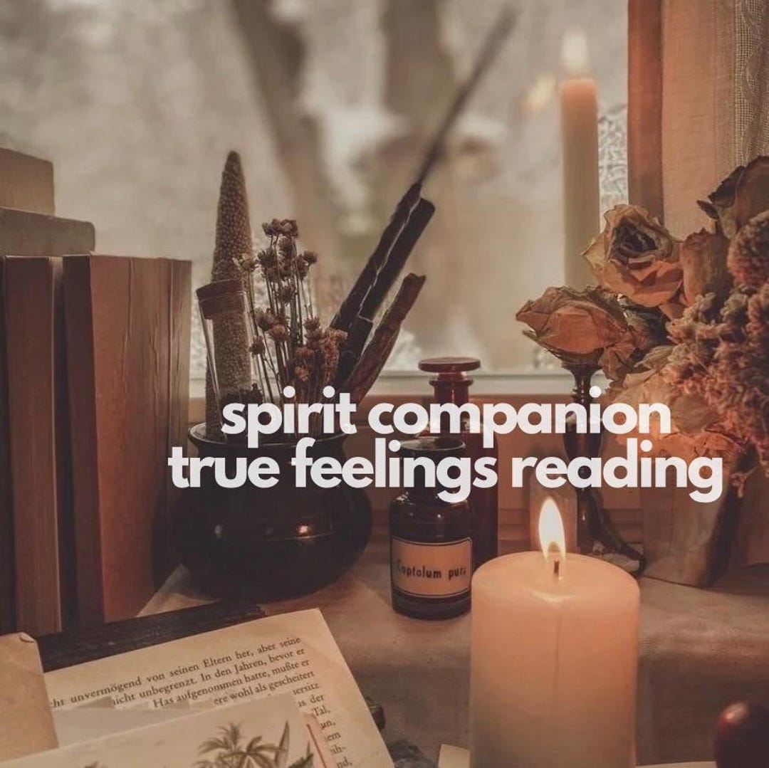 Spirit Companion Feelings, Emotions & Sentiments Reading | Relationship ...