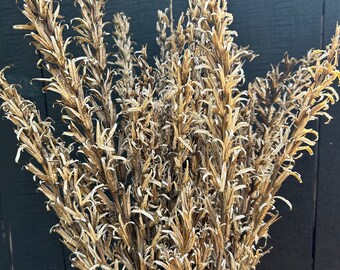 Pressed Flowers, Evening Primrose 20pcs Floral Art, Resin Craft - Etsy