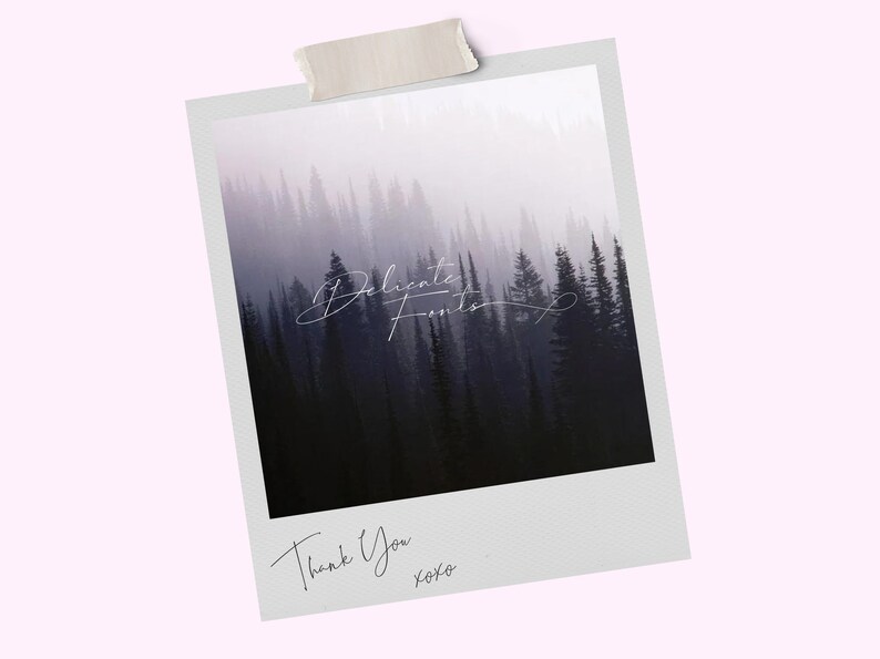 Script Font Bundle: Modern Cursive Fonts for Cricut & Procreate - Etsy