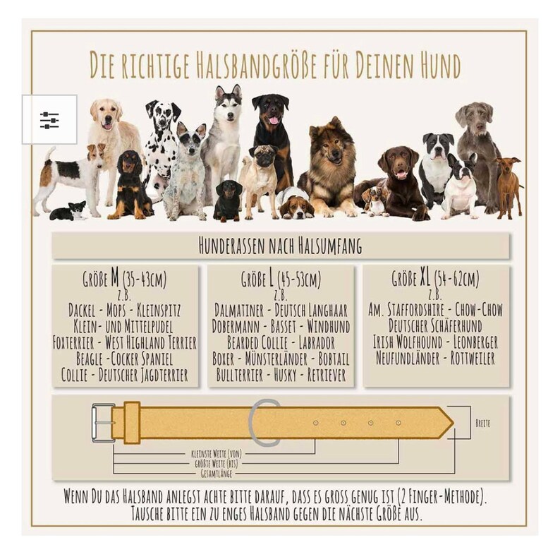 Hundekette Mit Muscheln Dog Apparel - Etsy