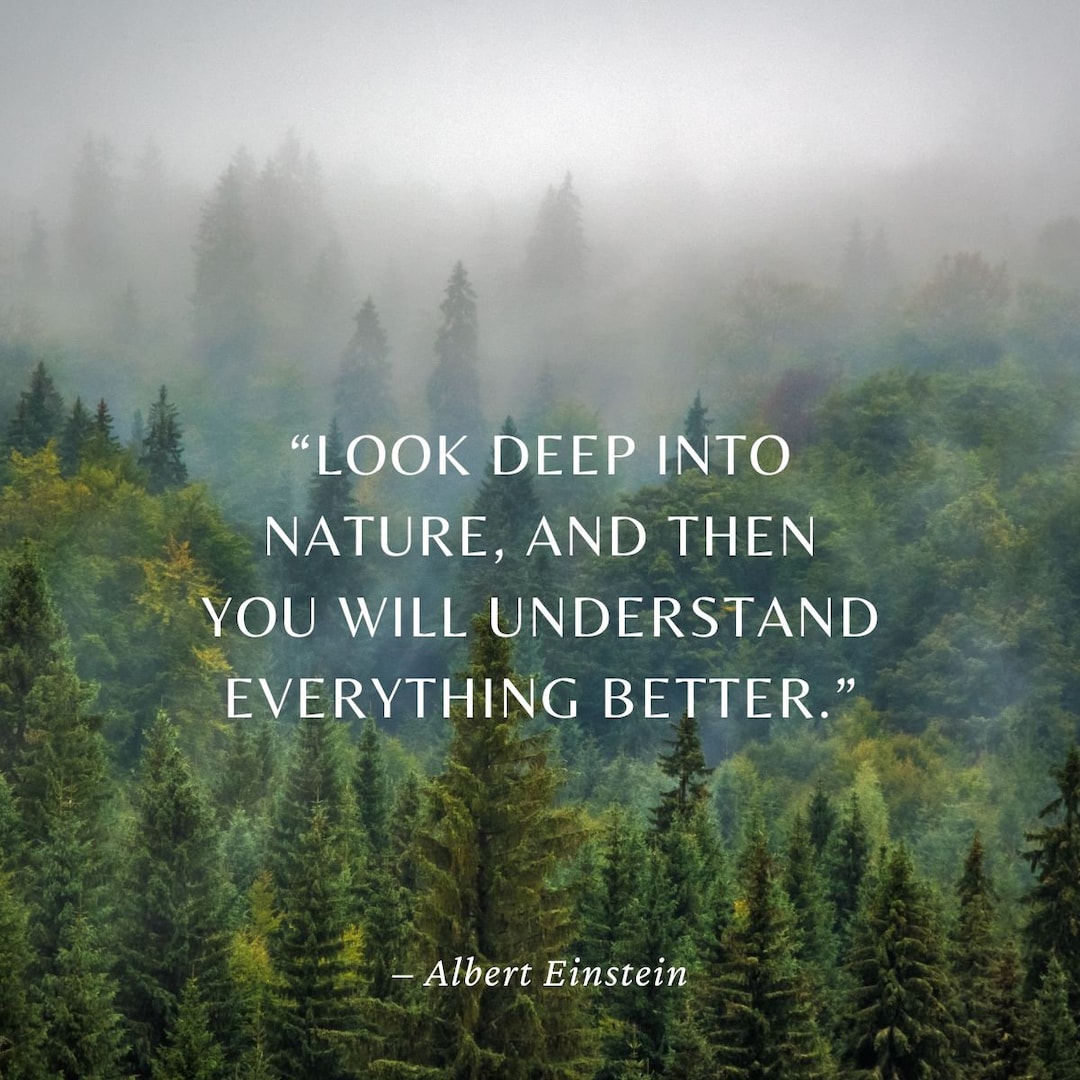 100 Nature Quotes for Your Social Media - Etsy