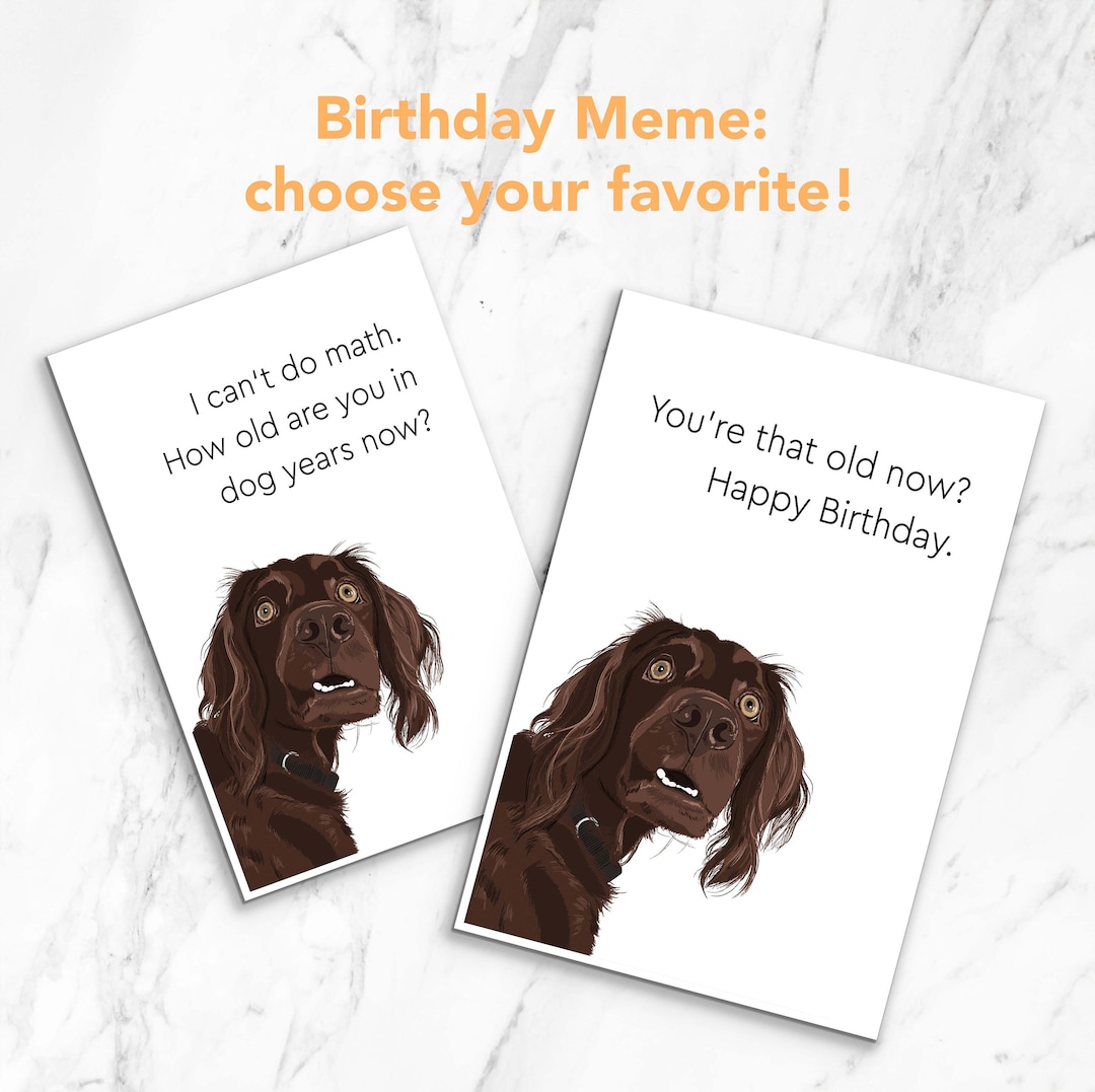 Postcard Birthday Meme Dog - Etsy UK