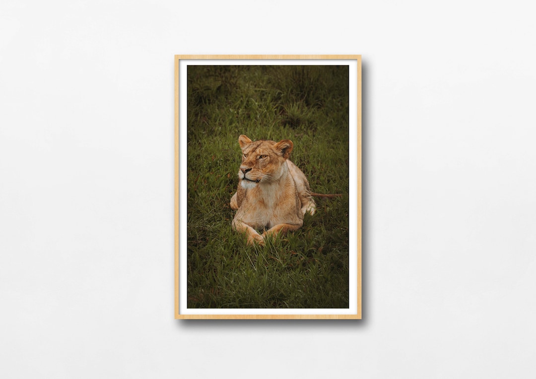Printable Lion Photo, Animal Print, Rustic Decor, Safari Animal Digital ...