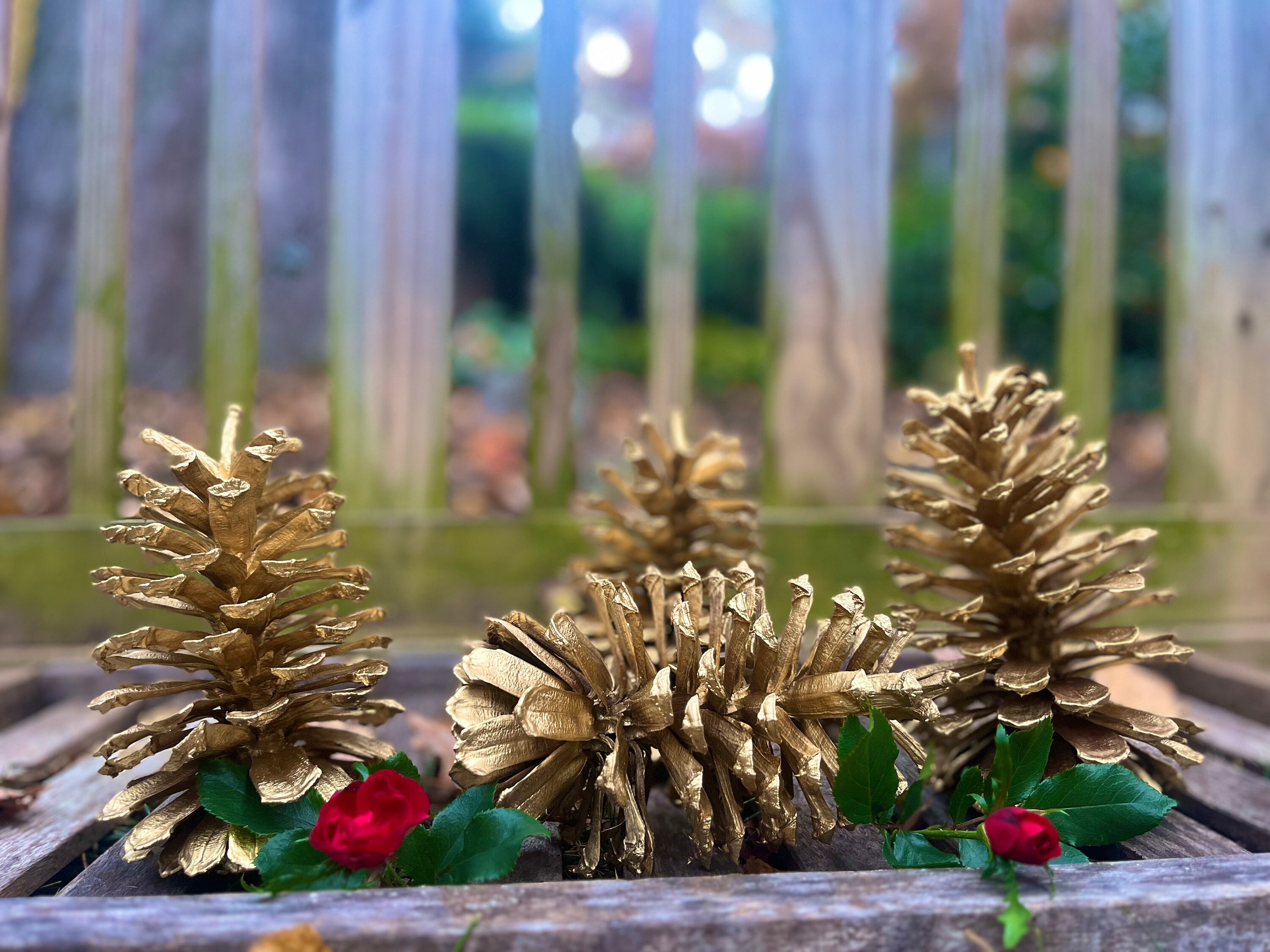 Jumbo Gold Pinecone - Etsy