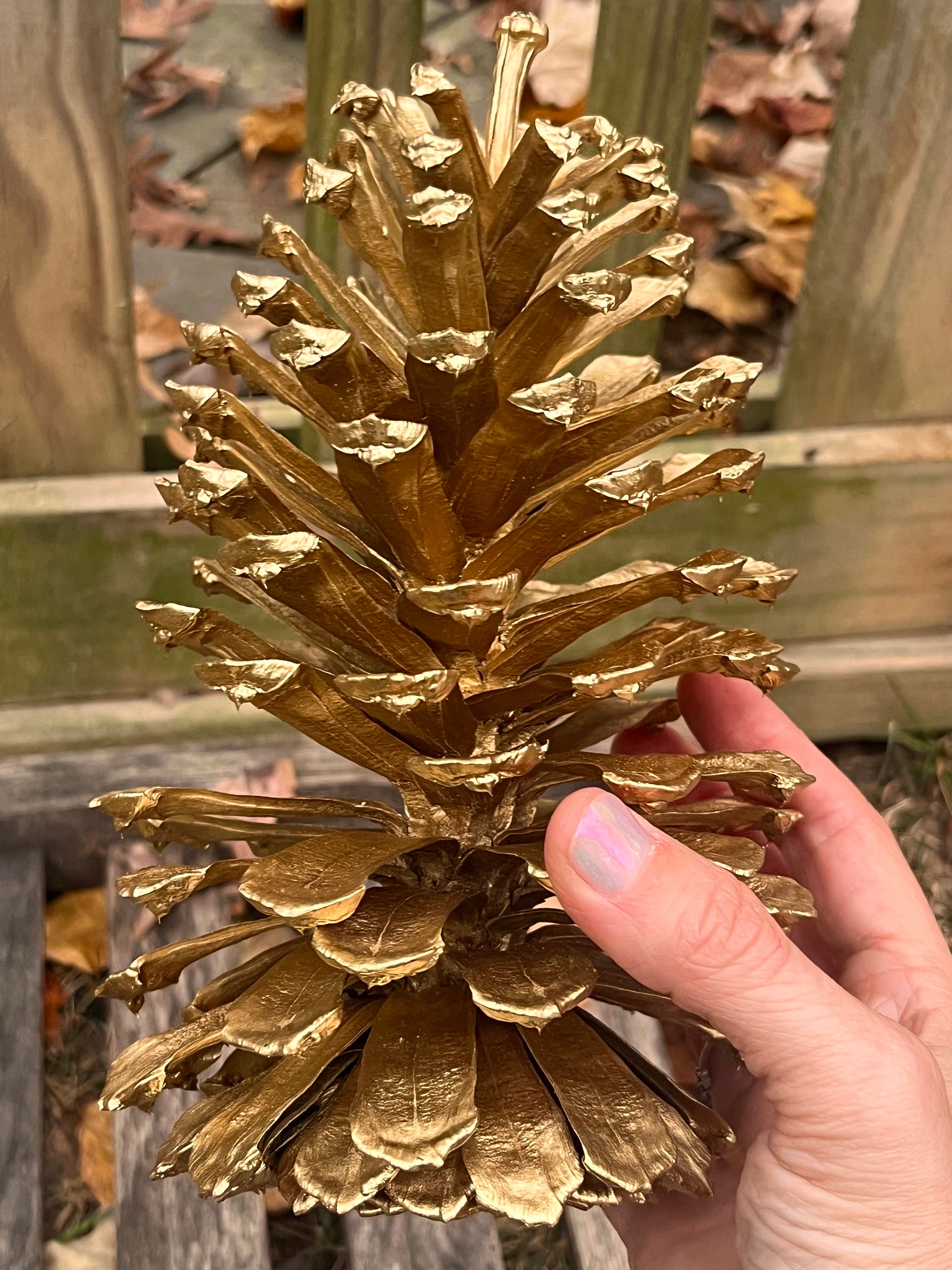 Jumbo Gold Pinecone - Etsy