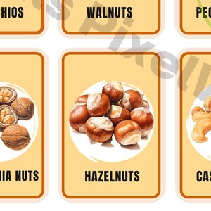 NUTS • 8 Editable Montessori Educational Flash Cards • PDF Printable ...