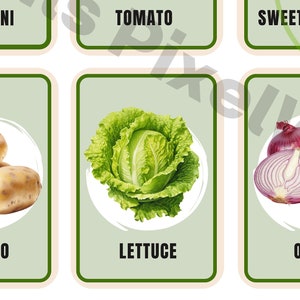 VEGETABLES • 16 Editable Montessori Educational Flash Cards • PDF ...