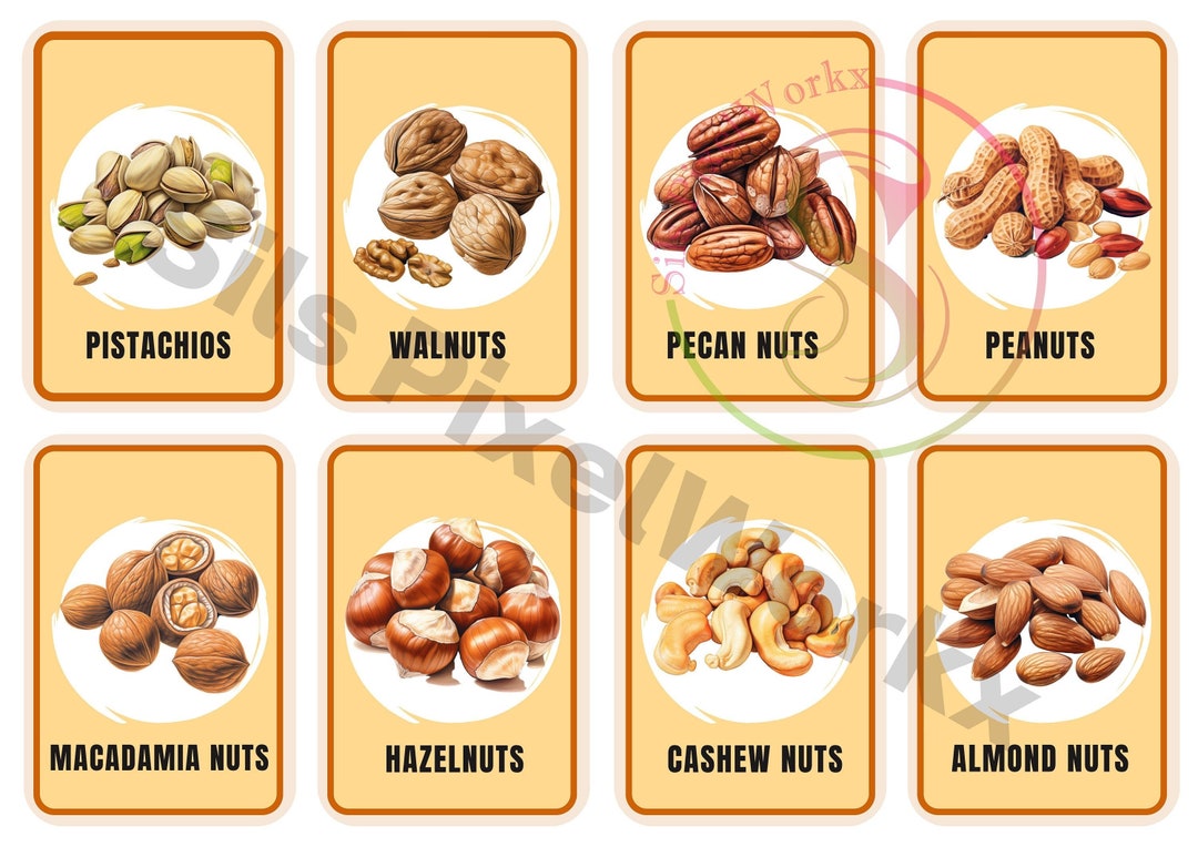 NUTS • 8 Editable Montessori Educational Flash Cards • PDF Printable ...