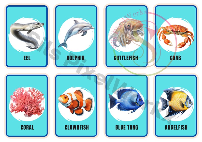 SEA ANIMALS • 24 Editable Montessori Educational Flash Cards • PDF ...