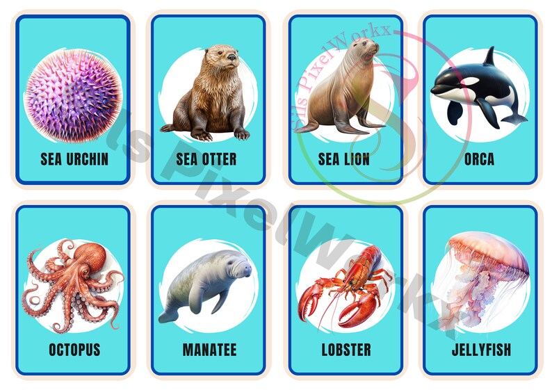 SEA ANIMALS • 24 Editable Montessori Educational Flash Cards • PDF ...