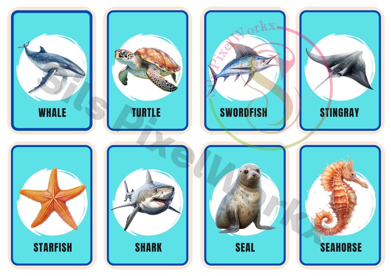 SEA ANIMALS • 24 Editable Montessori Educational Flash Cards • PDF ...