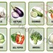 VEGETABLES • 16 Editable Montessori Educational Flash Cards • PDF ...