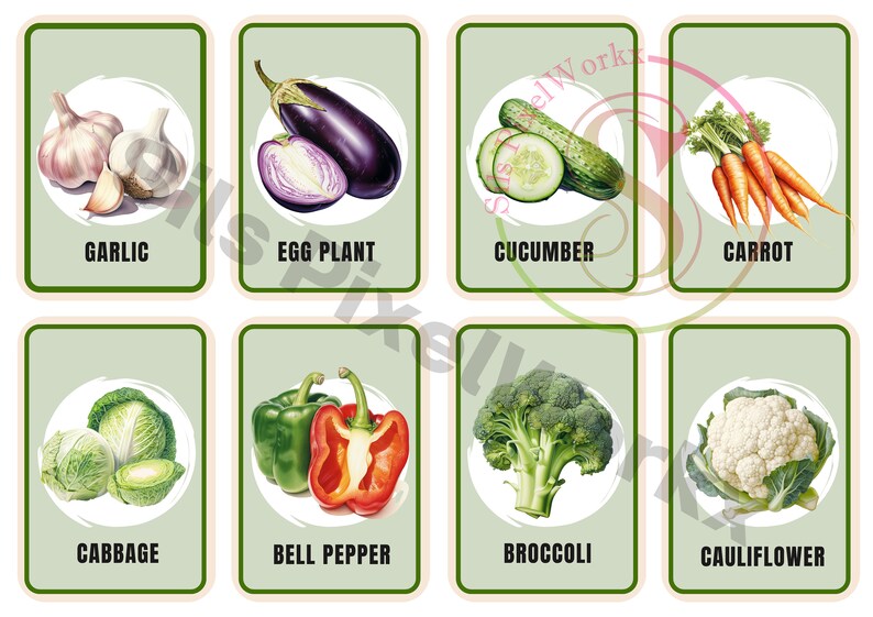 VEGETABLES • 16 Editable Montessori Educational Flash Cards • PDF ...