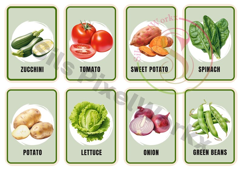 VEGETABLES • 16 Editable Montessori Educational Flash Cards • PDF ...